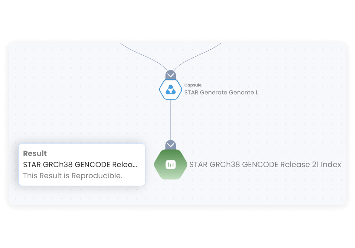 Solutions for R&D Leadership | Code Ocean